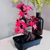 3D Printed Perpetual Desk Calendar – Modern Minimalist Home Decor - Etsy