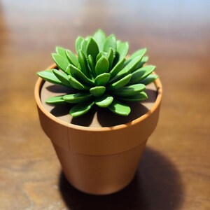 3D Printed Succulent Push Pin Plant - Unique Desk Accessory for Office ...