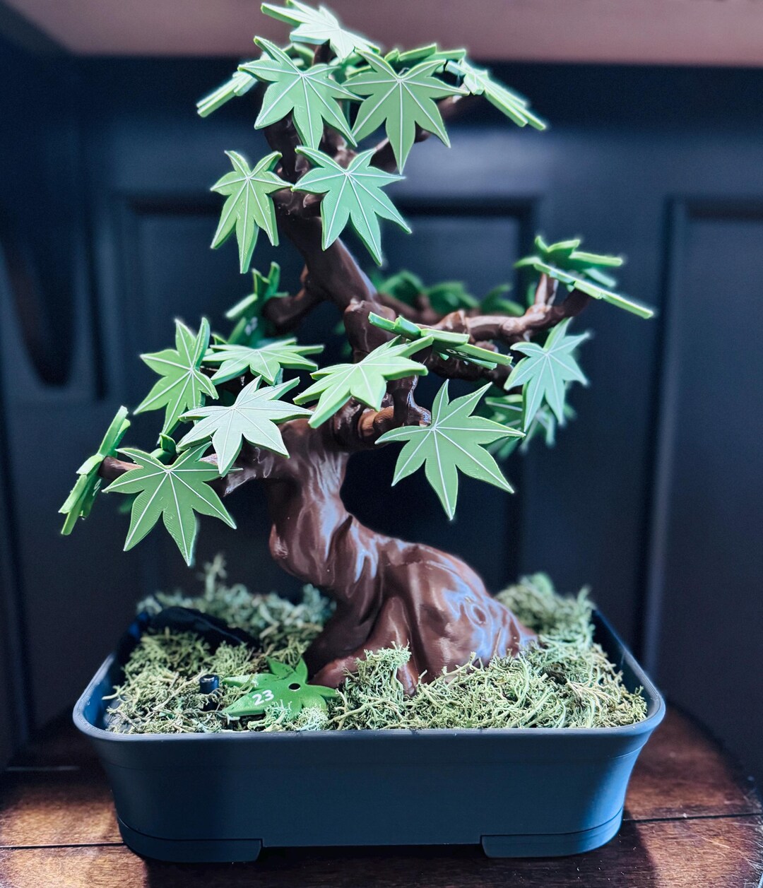 Bonsai 365 Perpetual Desk Calendar – Japanese Maple - Tree Design by ...