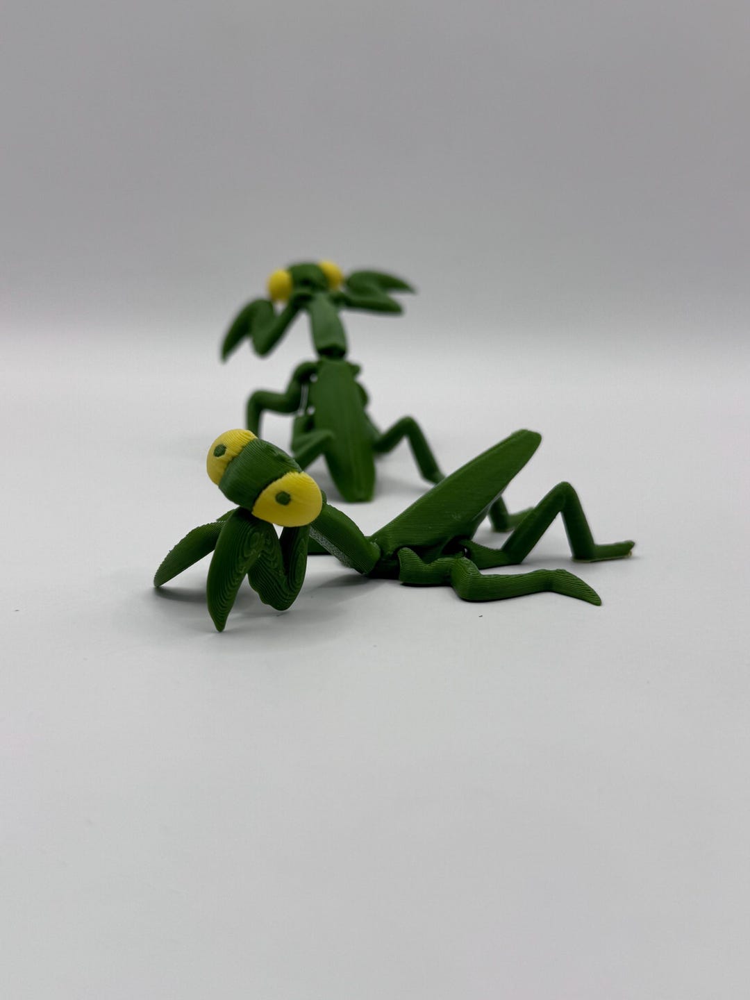 3D Printed Articulated Praying Mantis: Flexible Fidget Toy - Etsy UK