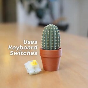 3D Printed Clicky Fidget Toy With Mechanical Switches – Fun Desk Plant ...