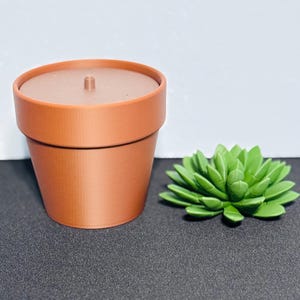 3D Printed Succulent Push Pin Plant - Unique Desk Accessory for Office ...