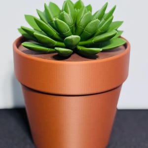 3D Printed Succulent Push Pin Plant - Unique Desk Accessory for Office ...