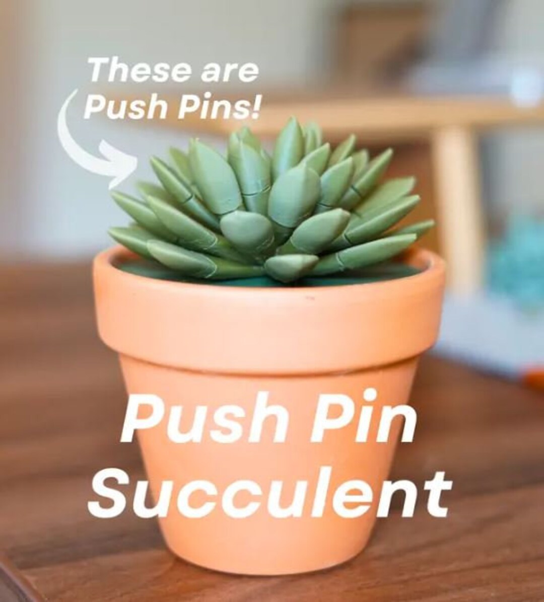 3D Printed Succulent Push Pin Plant Unique Desk Accessory for Office ...
