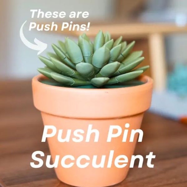 3d Printed Plant Decor - Etsy