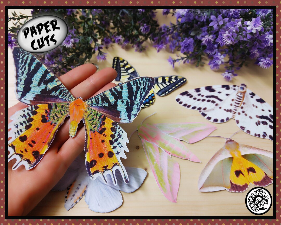 PAPER Mix B11 Large Realistic Butterfly Moth Cutout Die Cuts Vintage ...