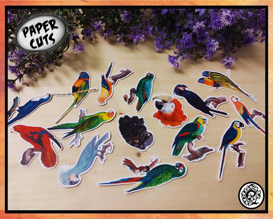 PAPER Mix P2 Parrots Birds Pack Cutout Die Cuts Vintage Retro Fussy Illustration Children ...
