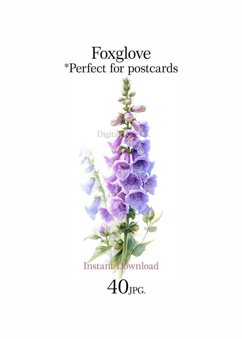 Watercolor Foxglove Clipart, Beautiful Pink Blue Purple Foxglove ...