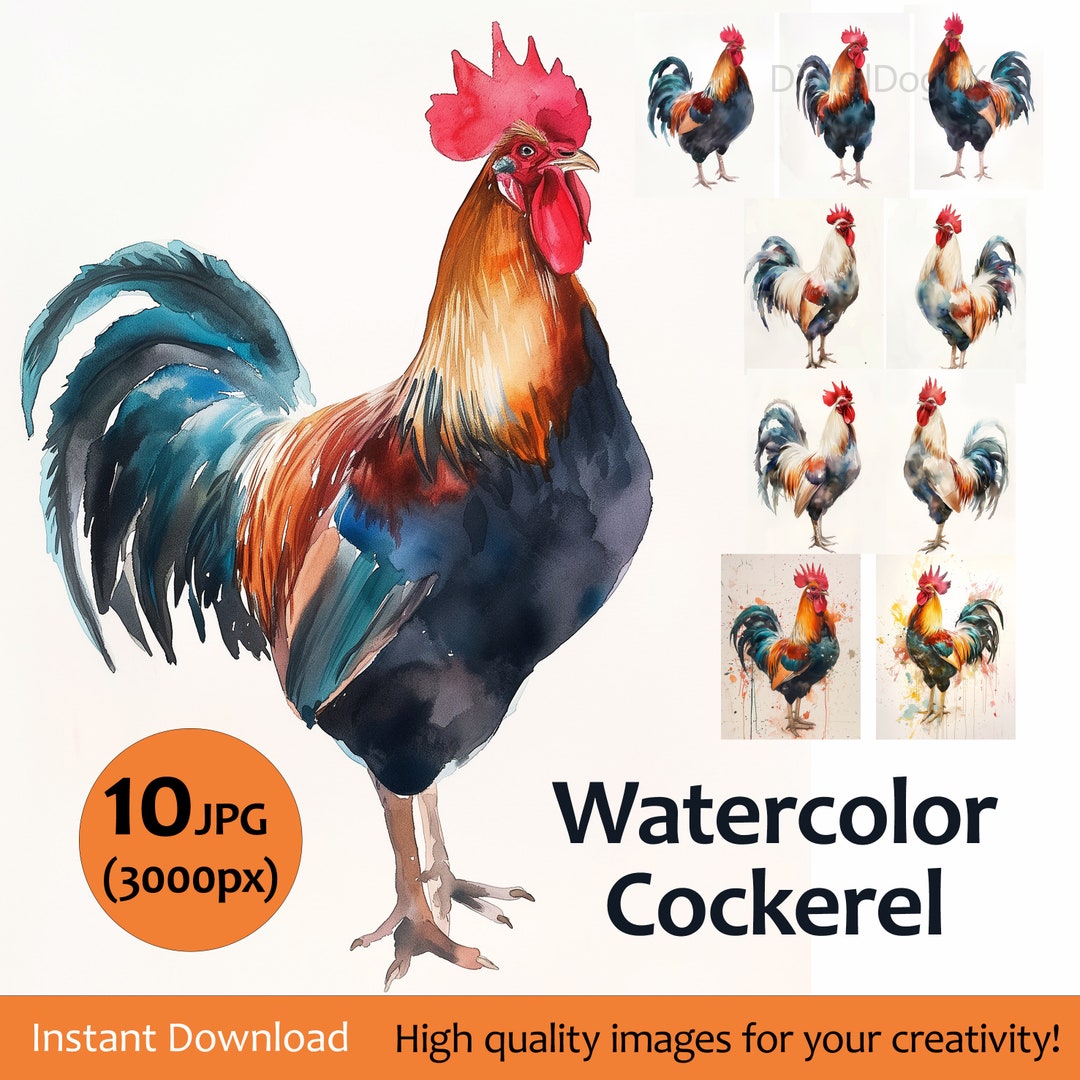 Watercolor Cockerel Clipart Bundle, Watercolor Illustration Roaster ...