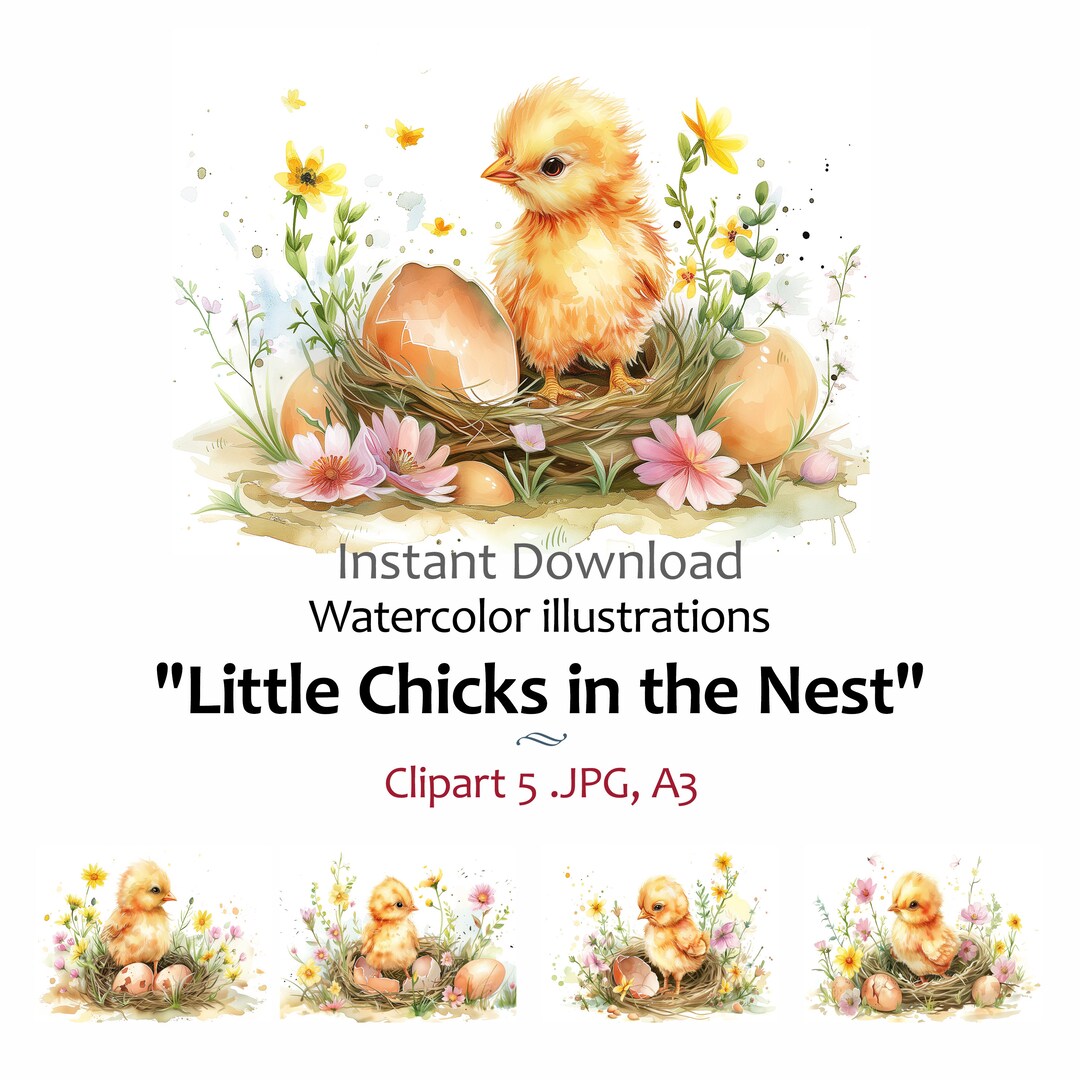 Watercolor Clipart Chickens in Nest, Cute Animal Illustration, Card ...