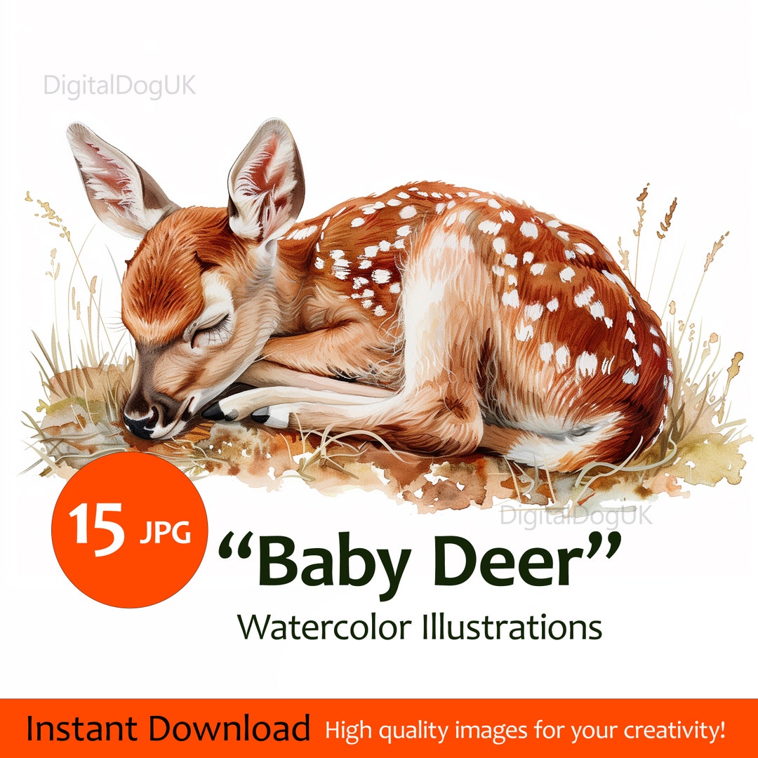 Watercolor Baby Deer Clipart Bundle, Baby Deer in a Meadow Flower Card ...