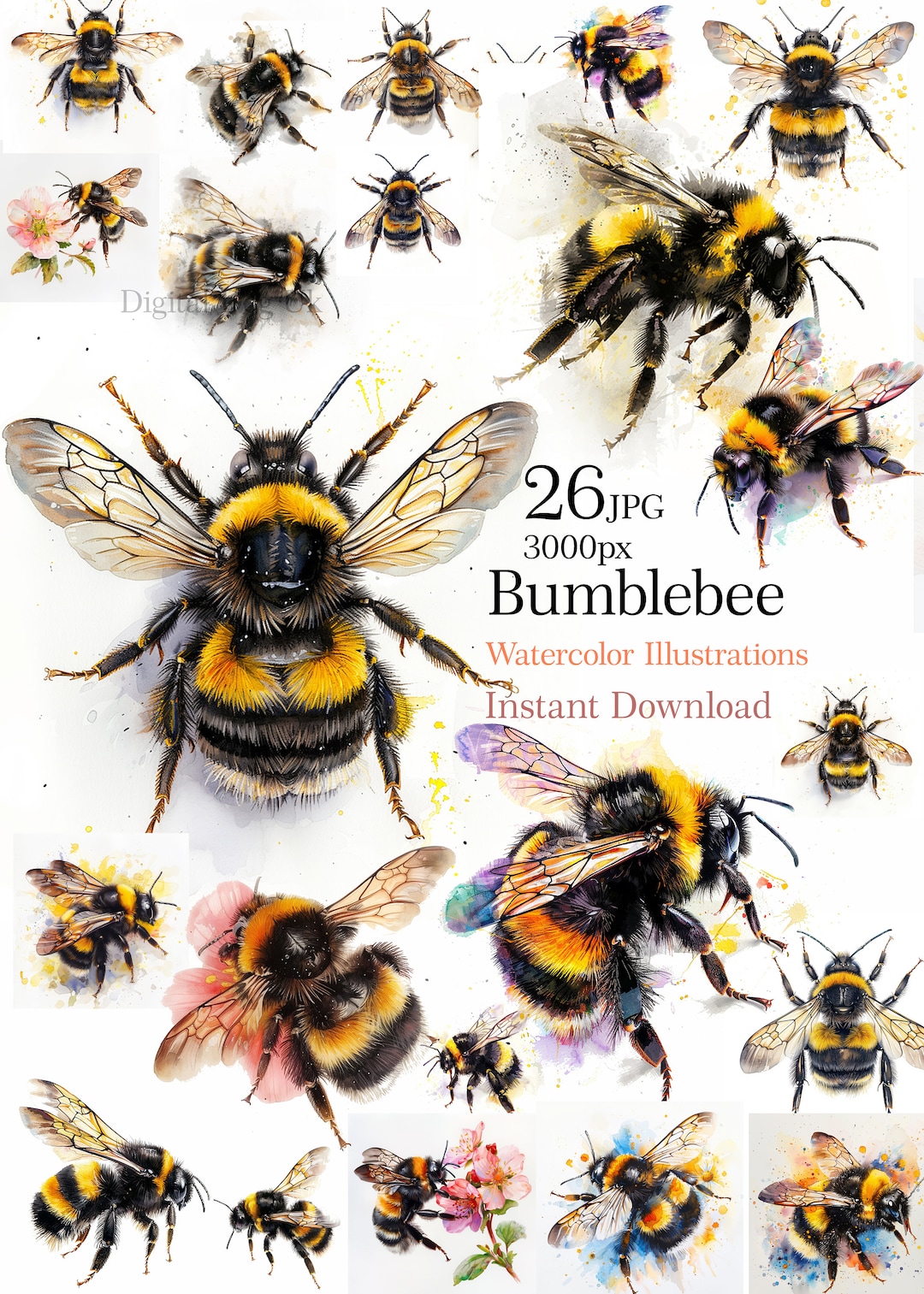 Watercolor Bumblebee Clipart, Bumble Bee Clipart, 26 High Quality Jpgs ...