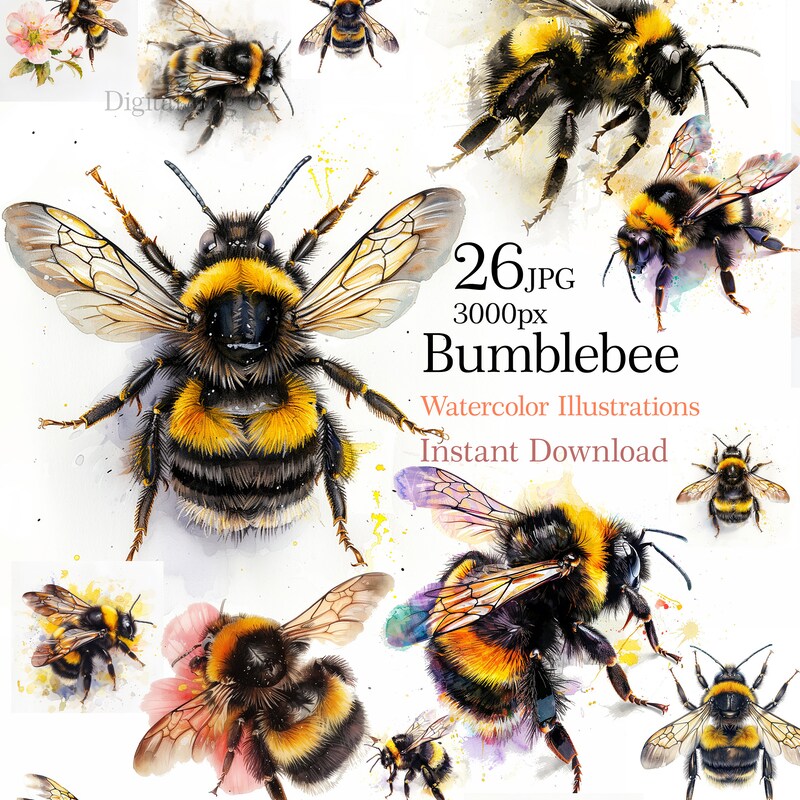 Bumble Bee Clipart - Etsy