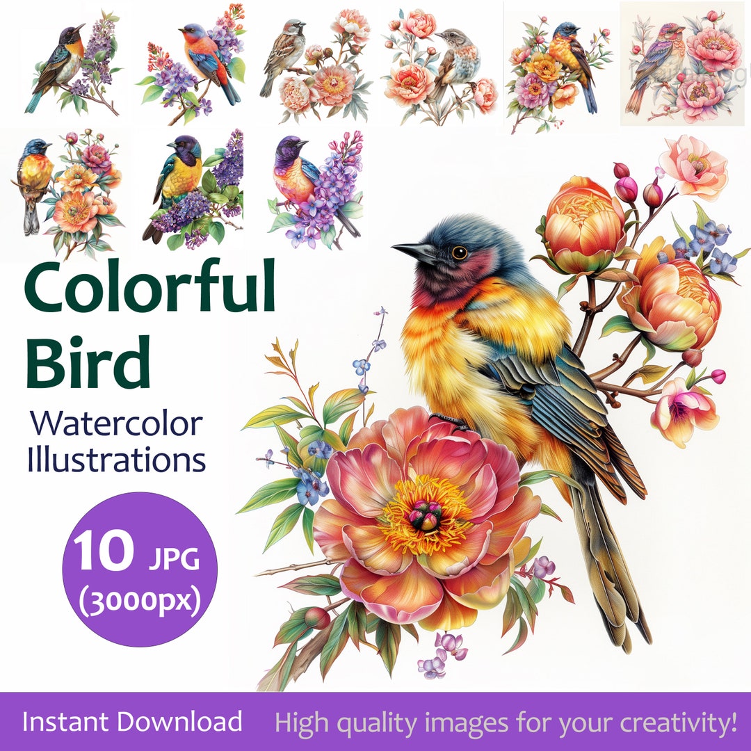 Watercolor Clipart Bundle Colorful Bird on Branch With Spring Flowers ...