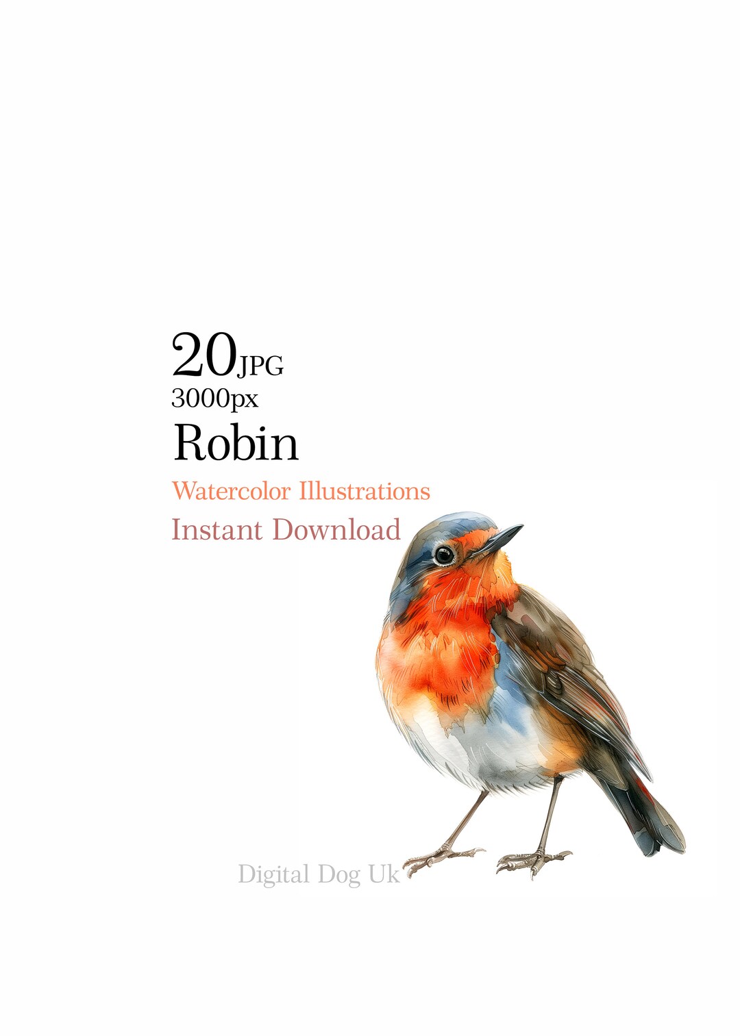 Watercolor Robin Bird Clipart Illustration for Printing, 20 High ...