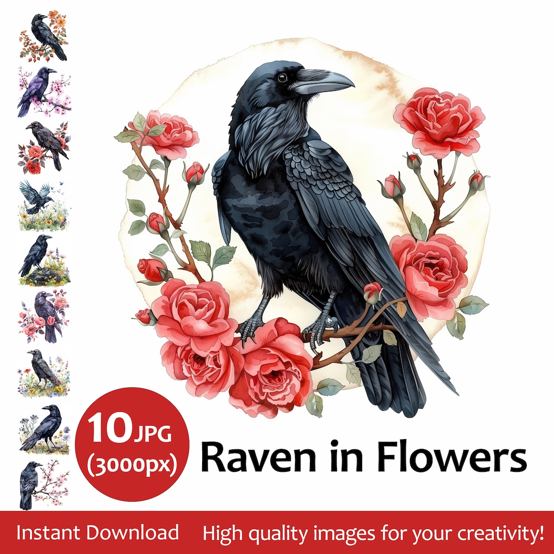 Watercolor Raven With Flowers Clipart Bundle, Illustration Raven, Bird ...