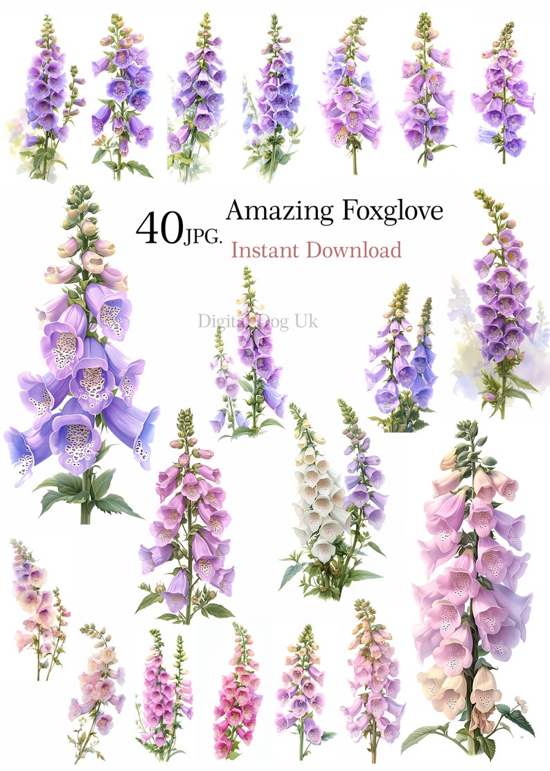 Watercolor Foxglove Clipart, Beautiful Pink Blue Purple Foxglove ...