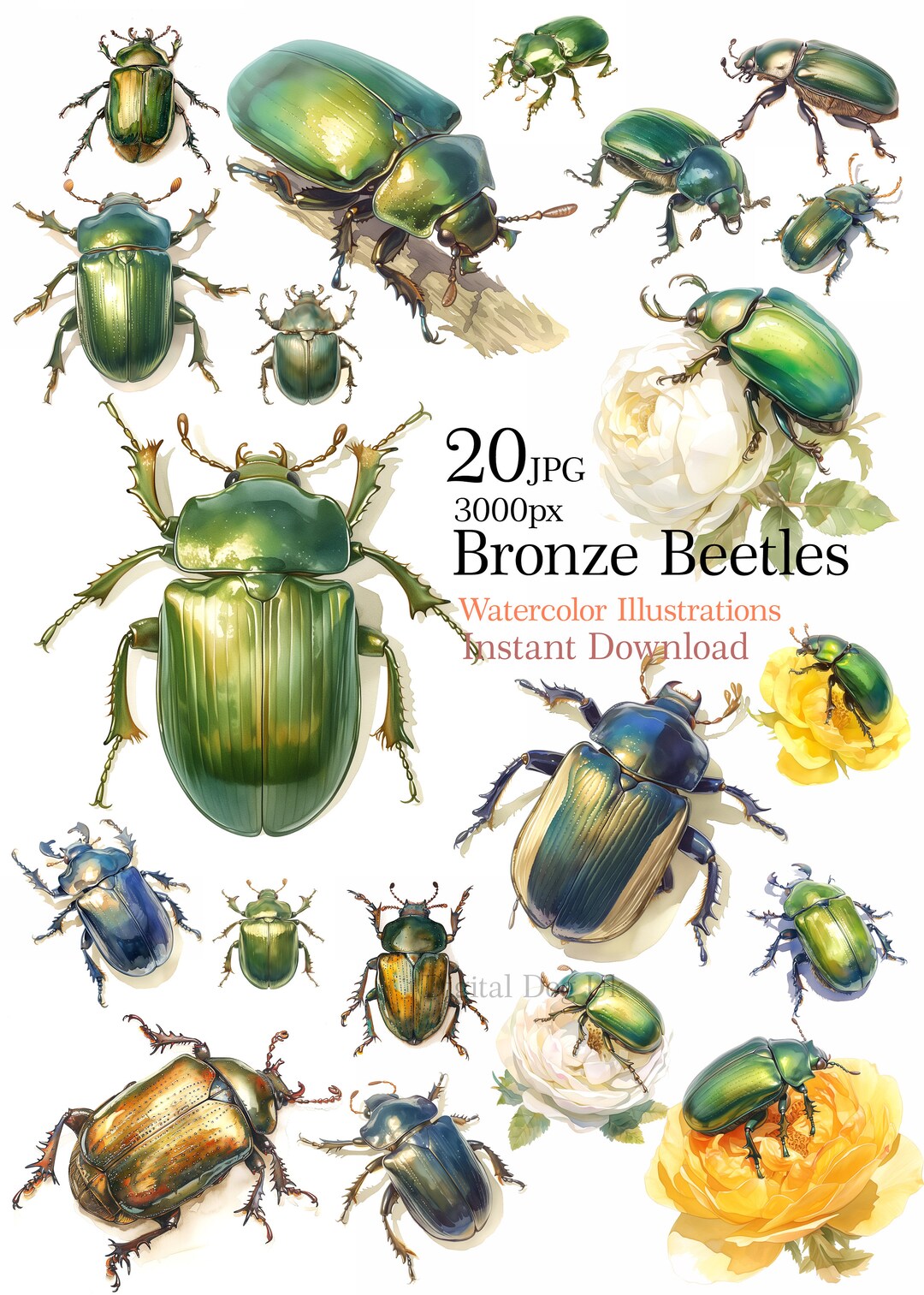 Watercolor Bronze Beetles Clipart Illustration Isolated for Printing ...