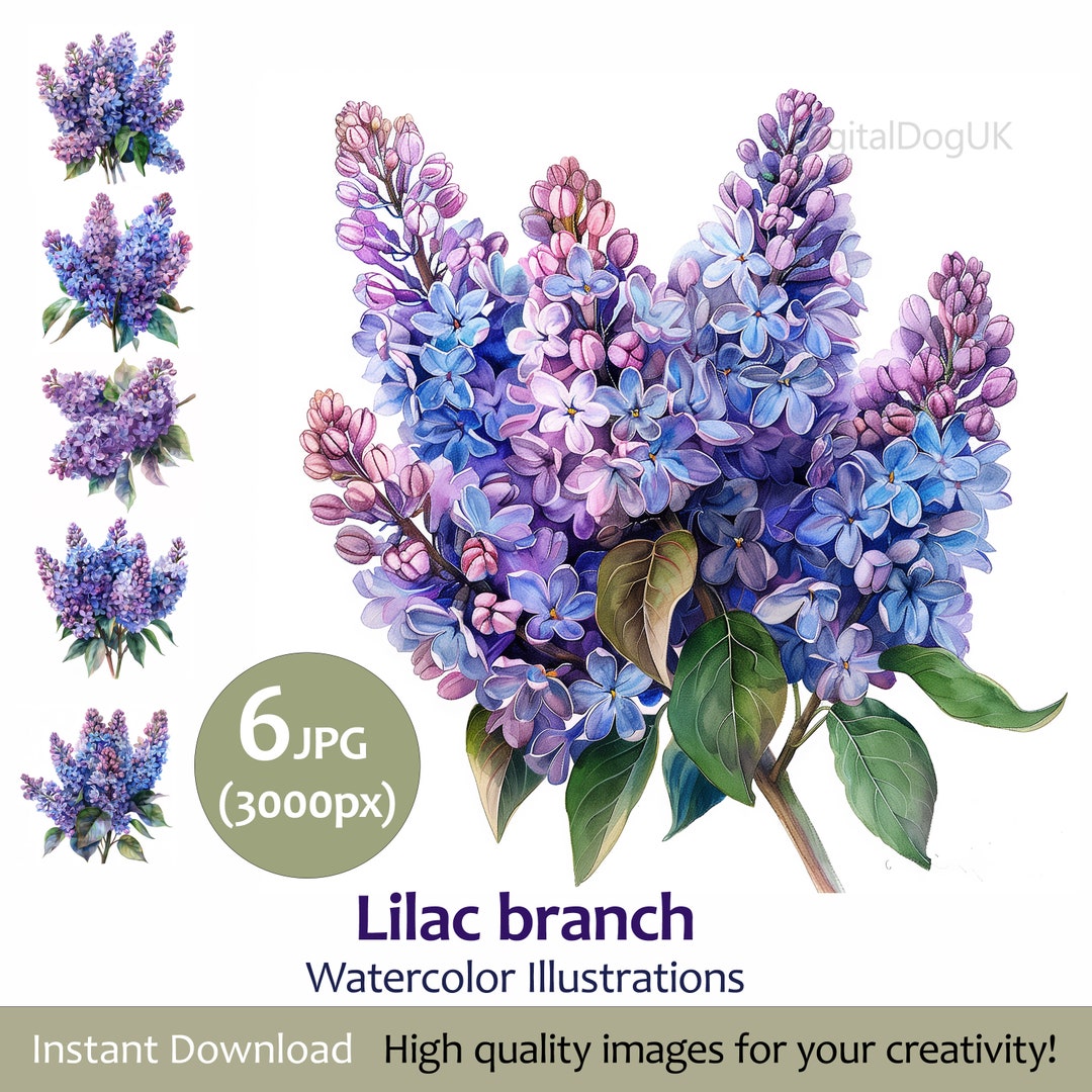 Lilac Branch Clipart Bundle, Lilac Flower, Set 6 Jpeg, Commercial Use ...