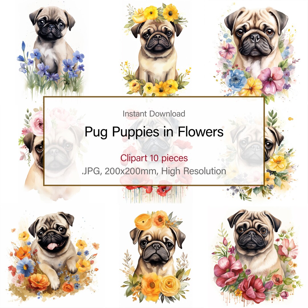 Pug Wall Art, Dog Watercolor Set, 10 High Quality JPG Images, Cards ...