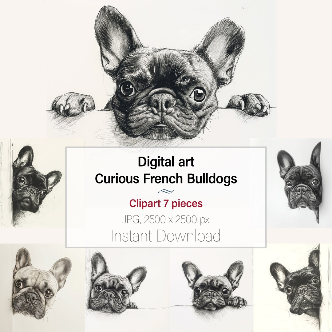 Peek a Boo French Bulldogs Clipart Dog Watercolor Illustration 7 High ...