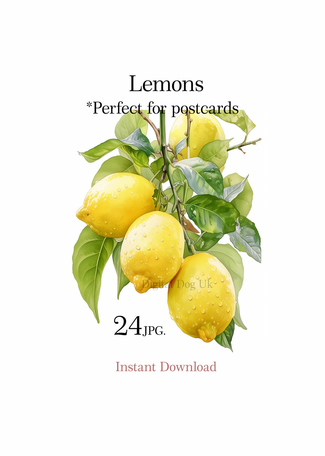 Lemon Images Watercolour Style Clipart, Beautiful Lemon Illustration ...