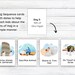 Hajj Rituals Flashcards, Step by Step Hajj Cards, Hajj Journey for Kids ...