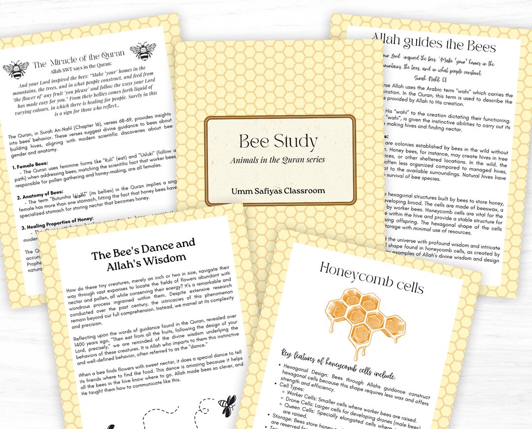BEE Unit Study, Life Cycle, Anatomy, Nature Study, Islamic, Science ...