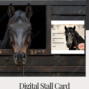 Custom Black Horse Barn Stall Card Instant Digital Download ...