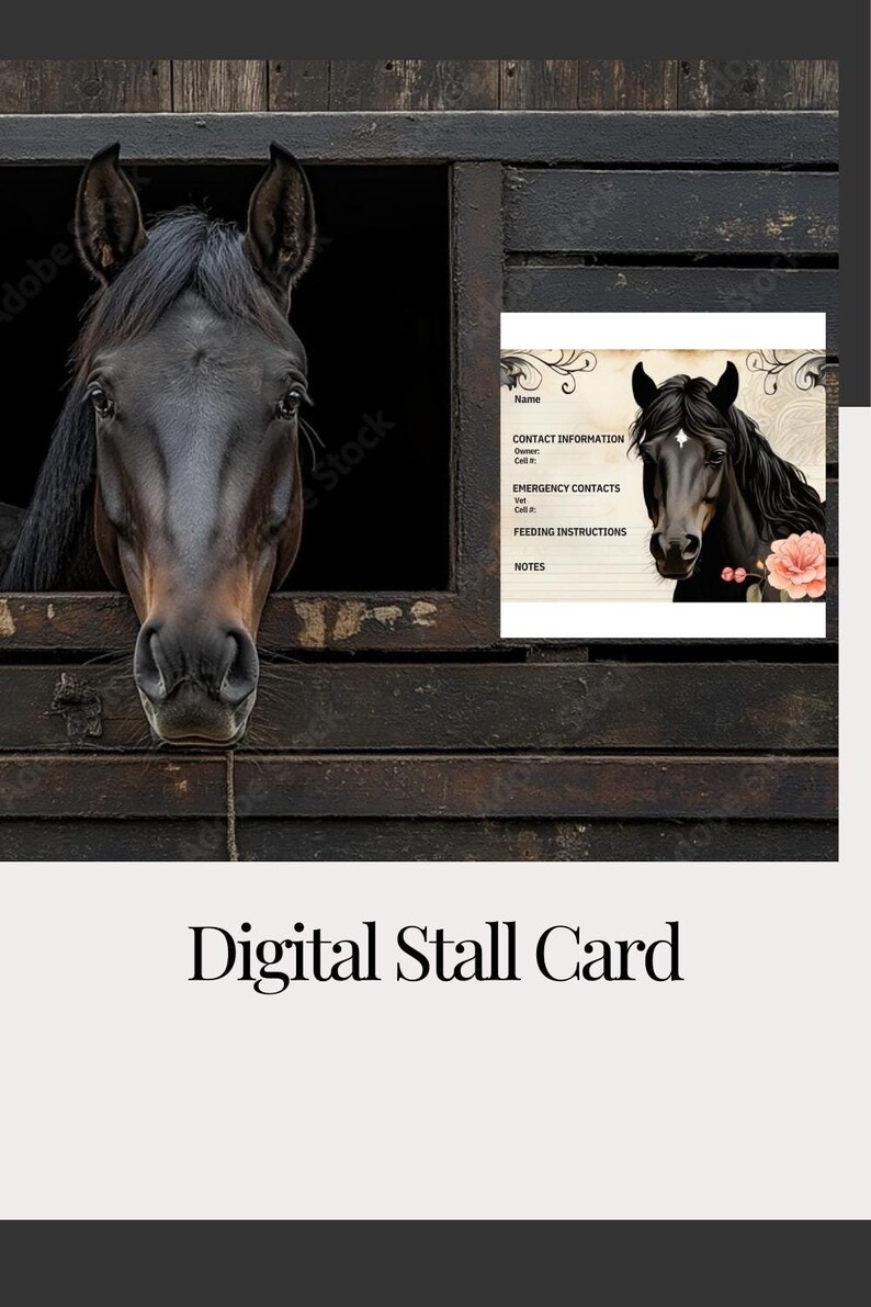 Custom Black Horse Barn Stall Card Instant Digital Download ...
