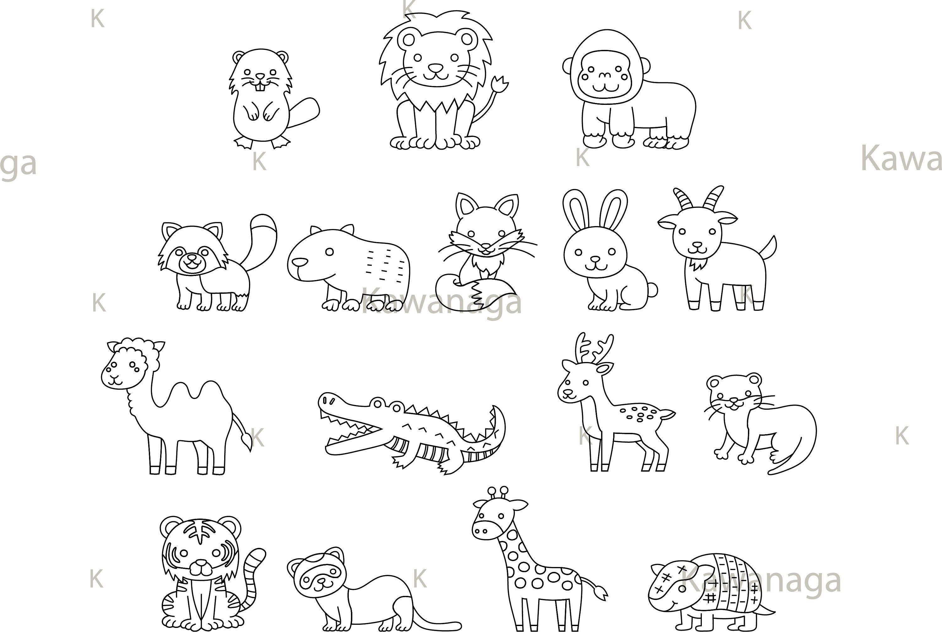 Zoo Animal Coloring Outline Bundle for School Project Safari Animal ...