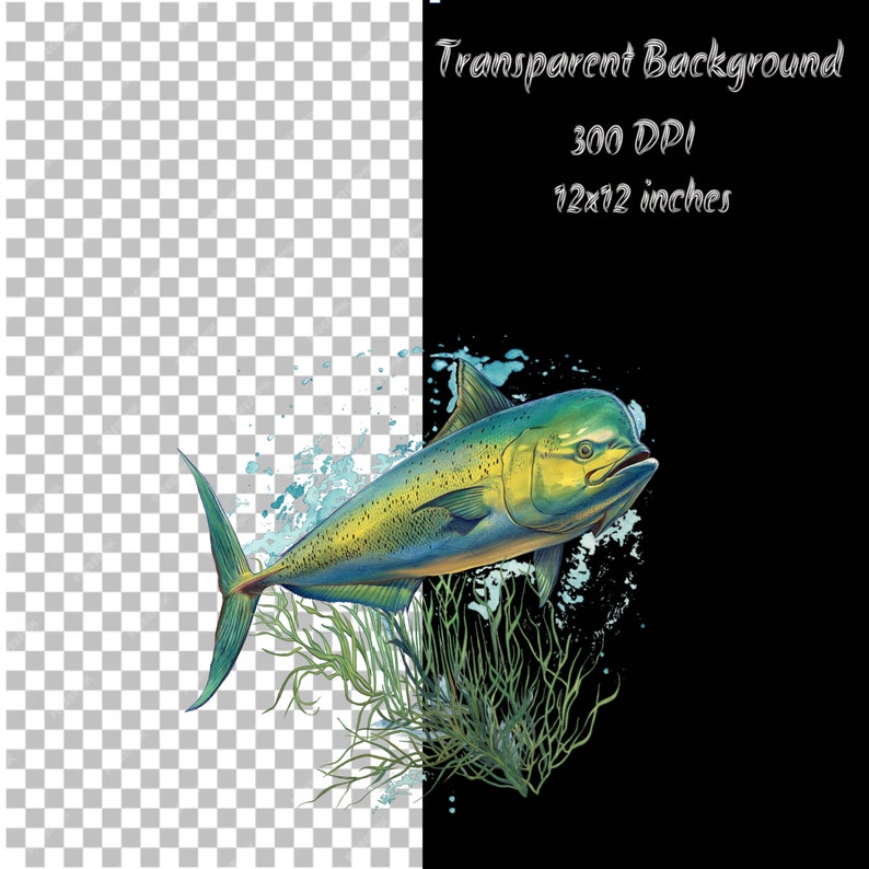6 Mahi Mahi Fish Clipart, Mahi Mahi Clipart PNG, Fishing, Digital ...