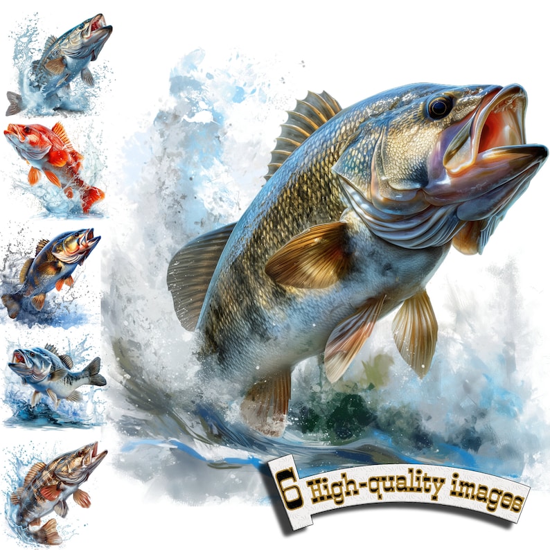 6 Bass Fish Clipart, Perch Fish Clipart PNG, Fishing, Digital Graphic ...