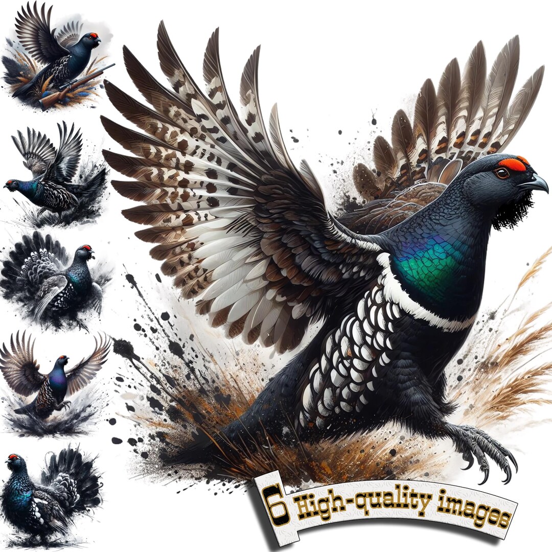6 Grouse Bundle, Grouse Watercolor, Grouse Clipart, Digital Graphic ...