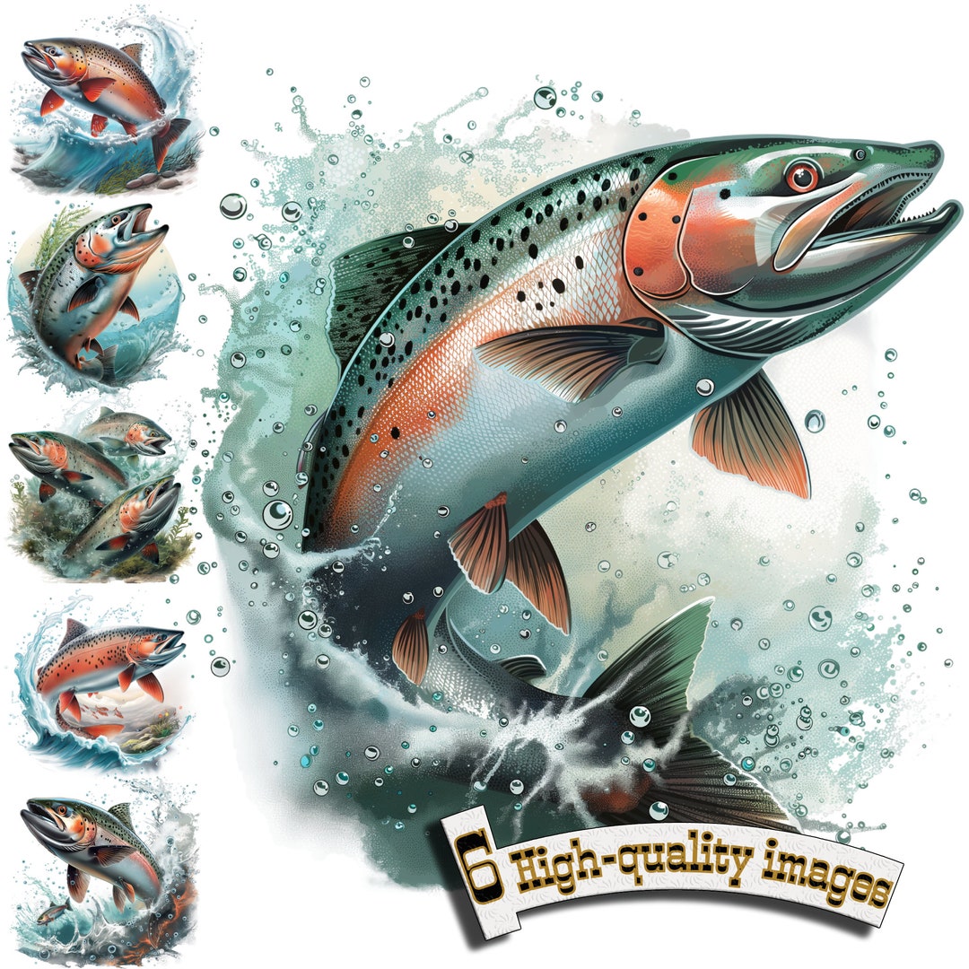 6 Salmon Clipart, Salmon PNG, Fishing, Digital Graphic, Instant ...