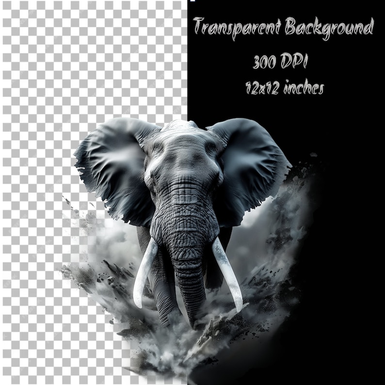 6 Grand Elephants, Elephants Clipart PNG, Digital Graphic, Instant ...