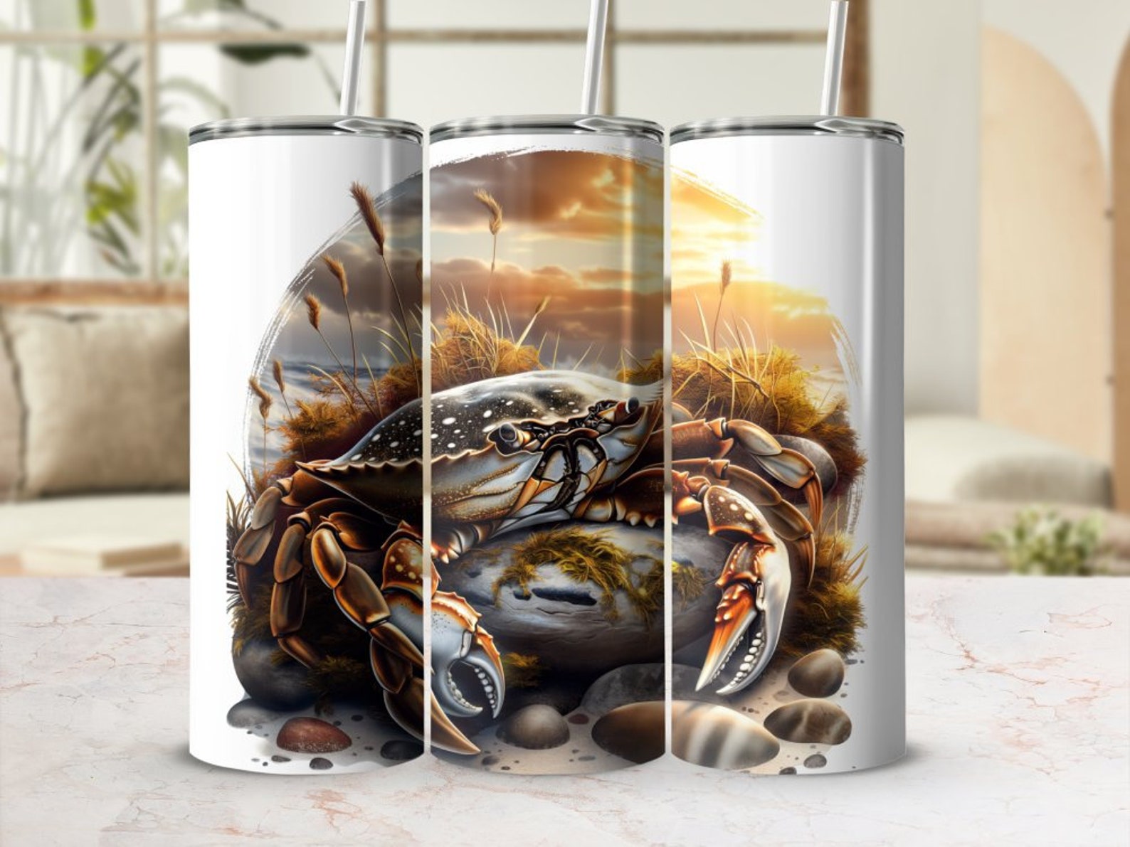 6 Crabs Clipart, Crab Clipart PNG, Fishing, Digital Graphic, Instant ...