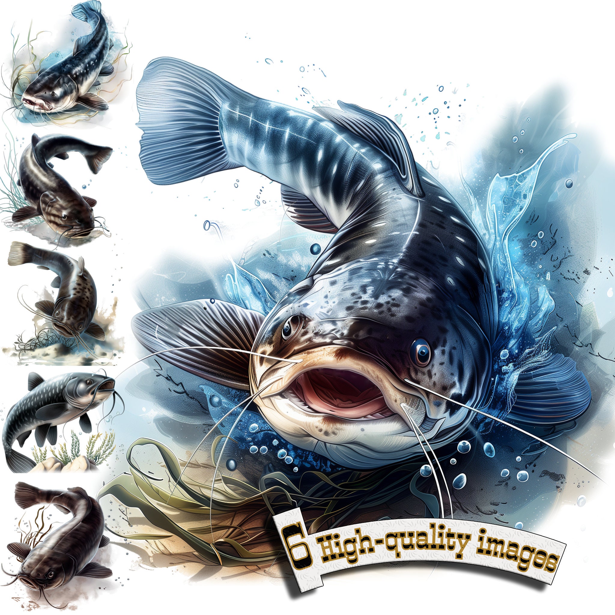 6 Catfish Clipart, Catfish Clipart PNG, Fishing, Digital Graphic ...