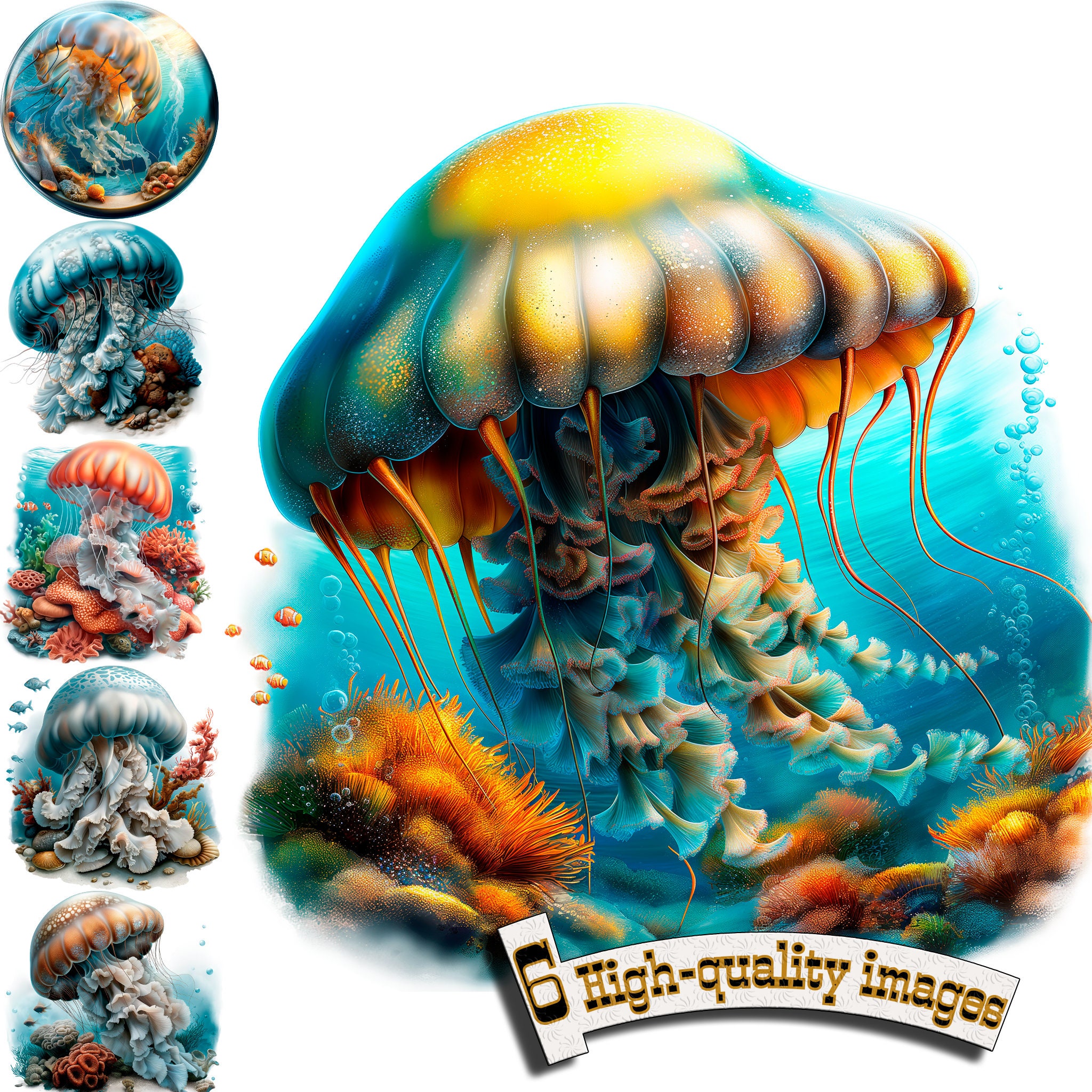 6 Jellyfish Clipart, Jellyfish PNG, Digital Graphic, Instant Download ...