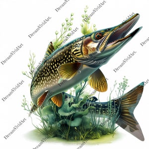 6 Pike Fish Clipart, Pike Clipart PNG, Fishing, Digital Graphic ...
