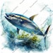 6 Tuna Fish Clipart, Tuna Clipart PNG, Fishing, Digital Graphic ...