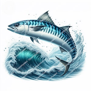 6 Mackerel Fish Clipart, Mackerel Clipart PNG, Fishing, Digital Graphic ...