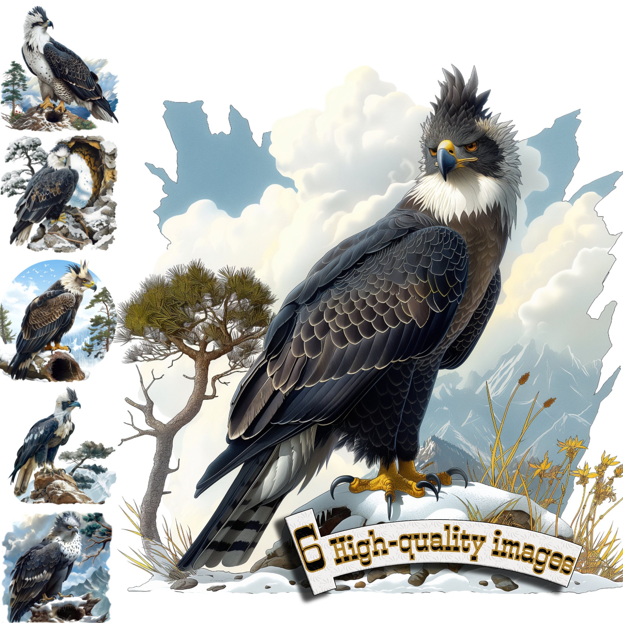 6 Harpy-eagle, Harpy Eagle Clipart PNG, Digital Graphic, Instant ...