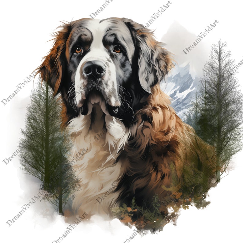 6 St. Bernard Dog, St. Bernard Clipart PNG, St. Bernard Clip Art, Saint ...