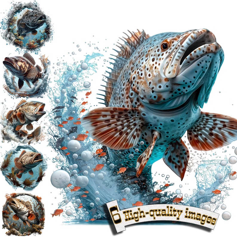 6 Grouper Fish Clipart, Grouper Fish Clipart PNG, Fishing, Digital ...
