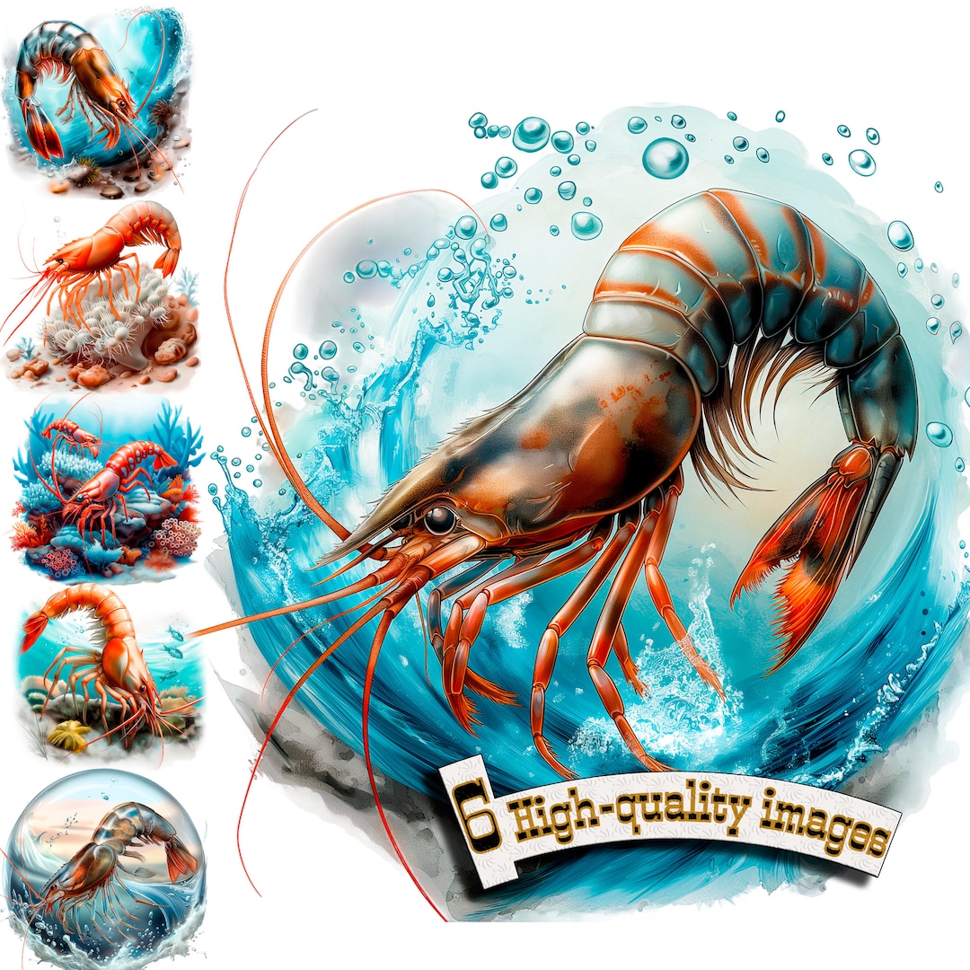 6 Shrimp and Prawn Clipart PNG: Digital Graphics for Fishing ...