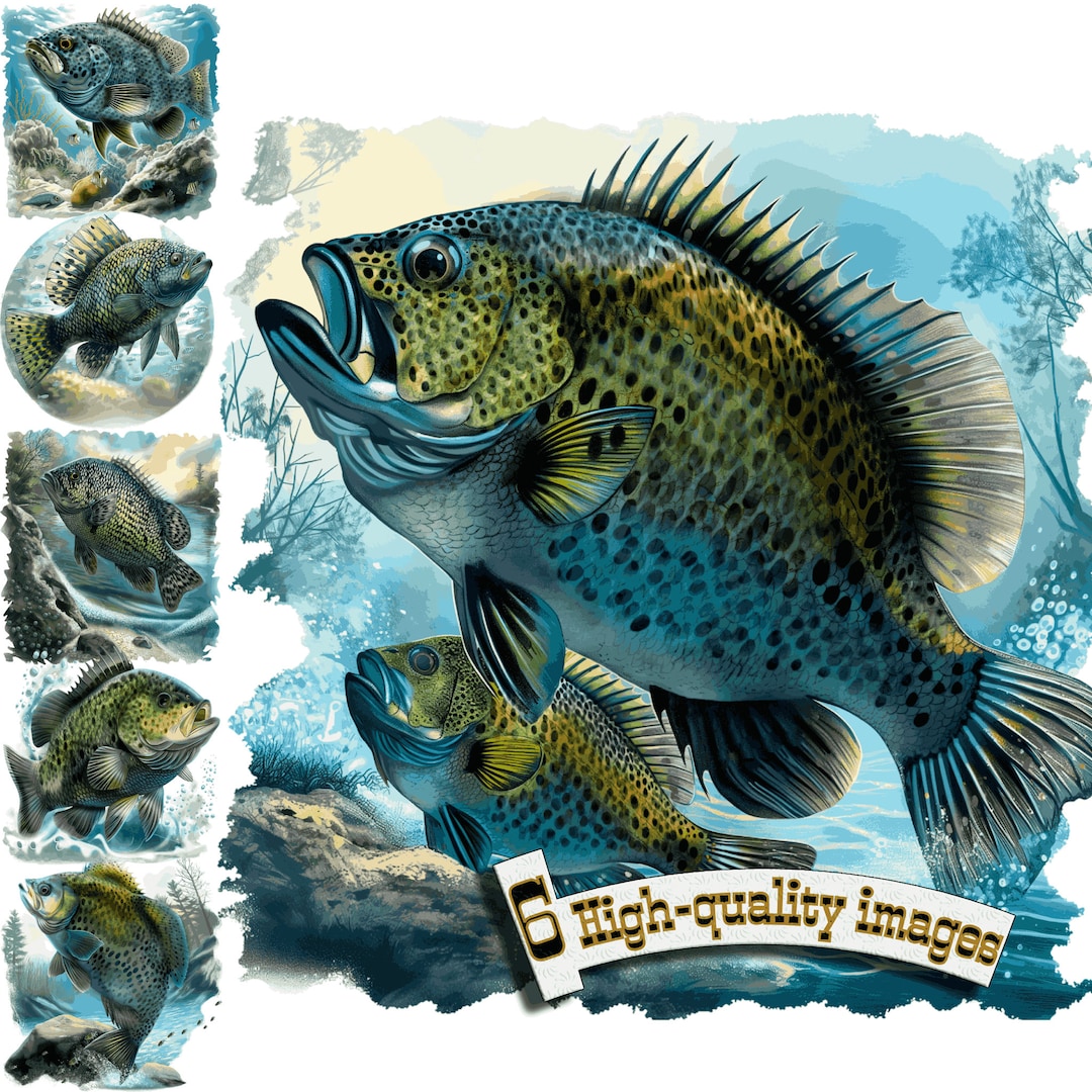 6 Crappie Fish Clipart, Crappie Clipart PNG, Fishing, Digital Graphic ...