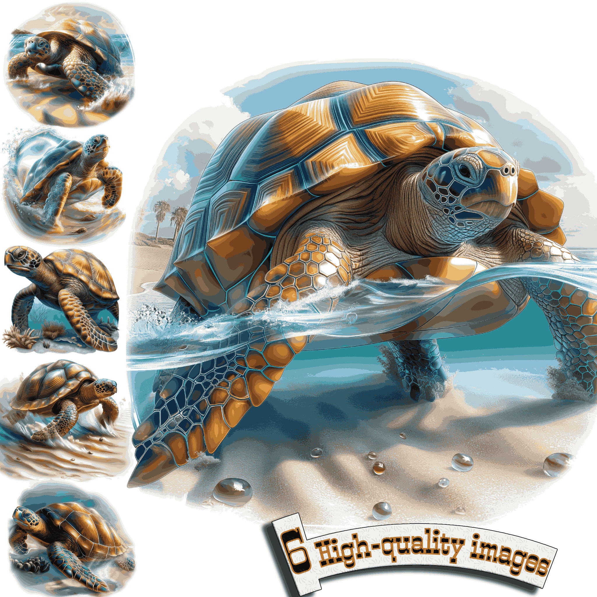 6 Sea Turtles Clipart, Ocean Turtle PNG, Turtle in Sea, Turtle ...