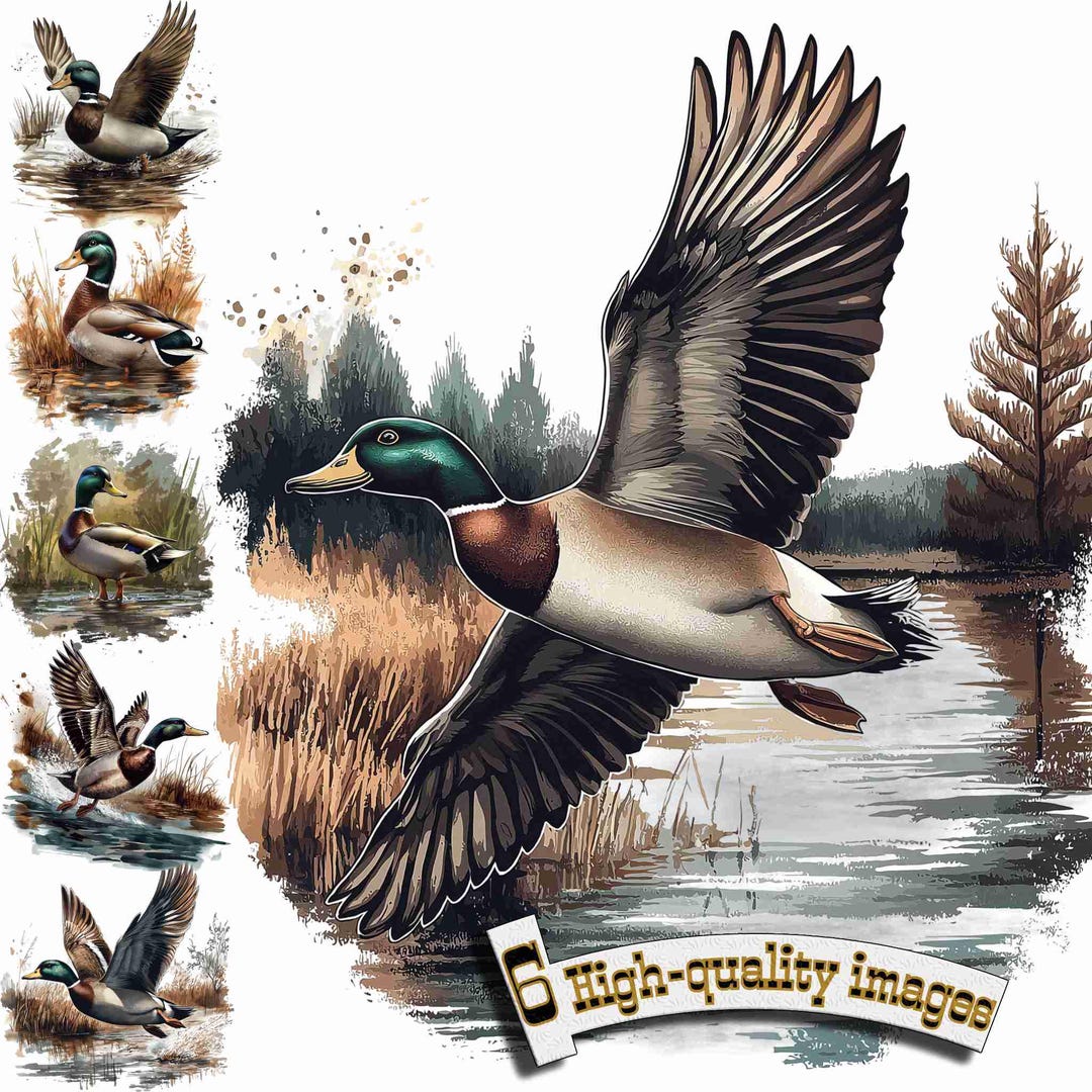 6 Mallard Duck in Swamp, Mallard Duck Watercolor, Mallard Duck Clipart ...