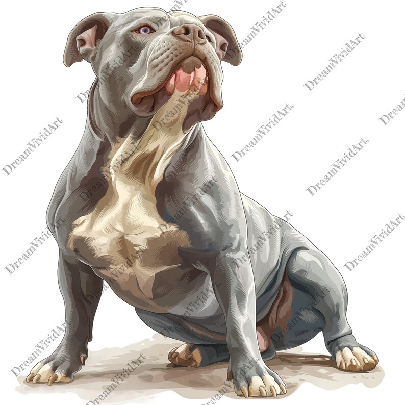 6 American Bully Dog Clipart Bundle: Digital Graphics, Instant Download ...